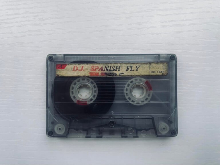 DJ Spanish Fly – Volume #29 (1991) – Trunk Music Tapes